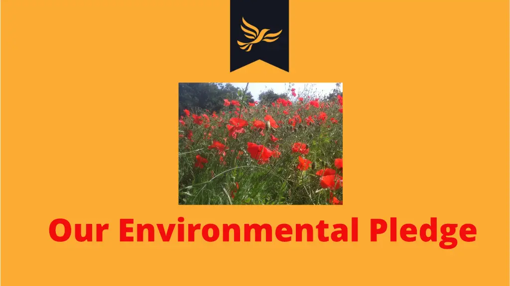 Our environmental pledge - Buckinghamshire South Liberal Democrats